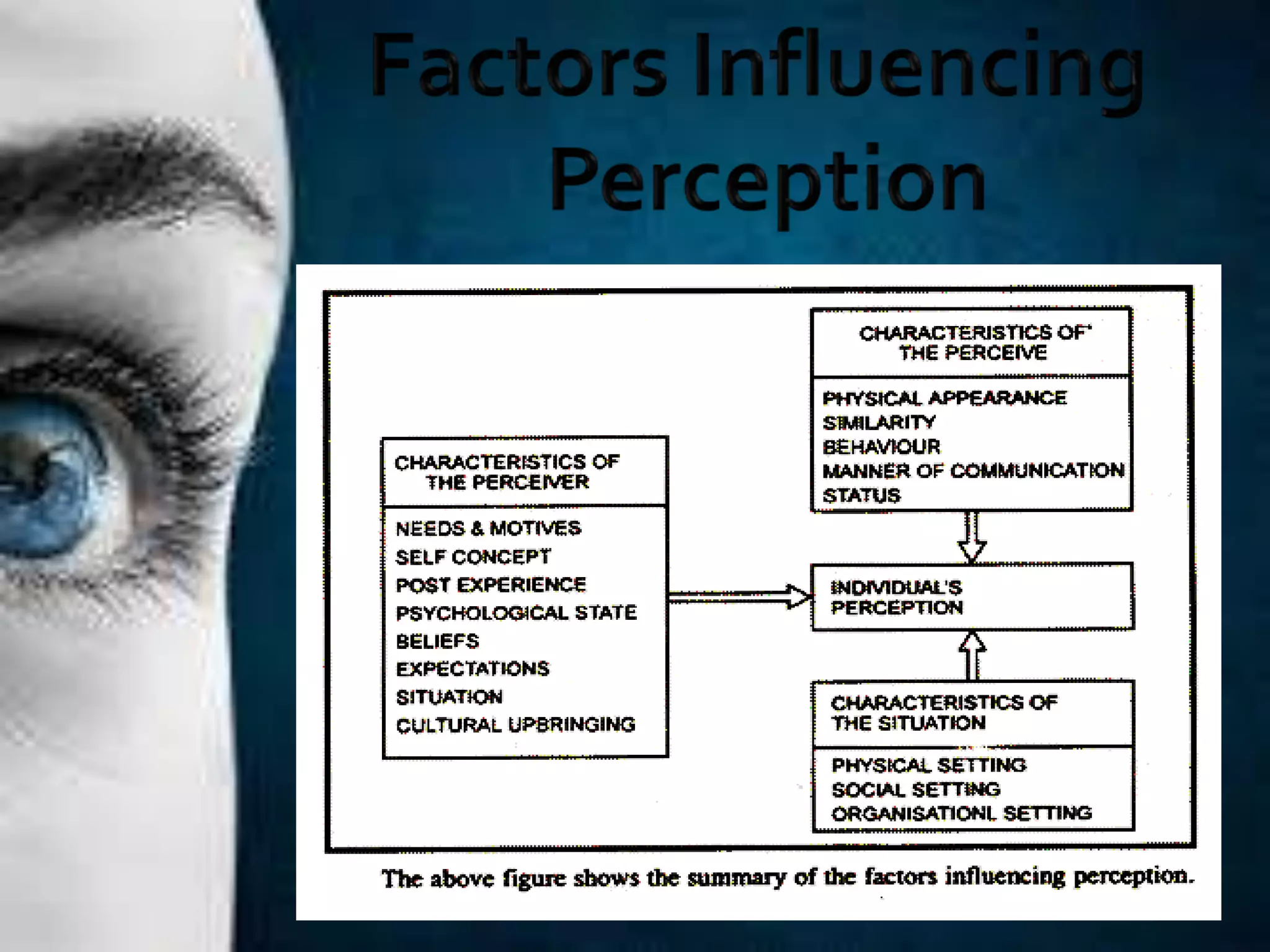 PowerPoint Presentation on perception | PPTX | Science