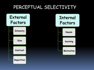 PowerPoint Presentation on perception | PPTX | Science