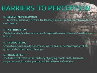 PowerPoint Presentation on perception | PPTX | Science
