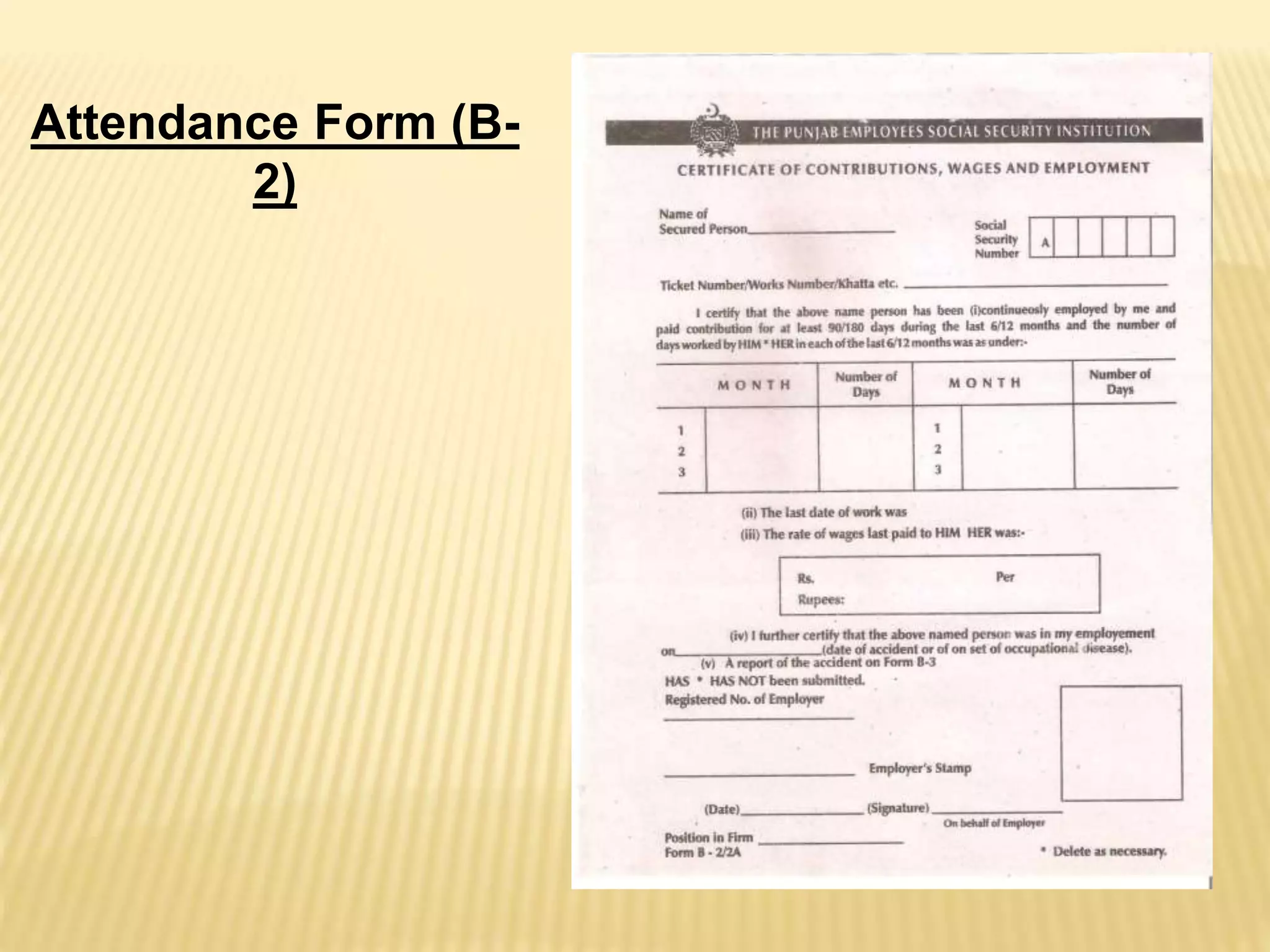 Presentation1 pessi | PPTX