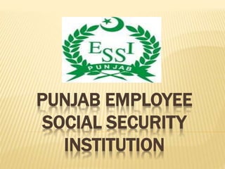 Presentation1 pessi | PPTX