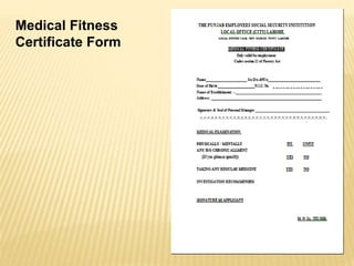 Presentation1 pessi | PPTX