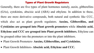 Presentation1 PLANT GROWTH REGULATERS.pptx