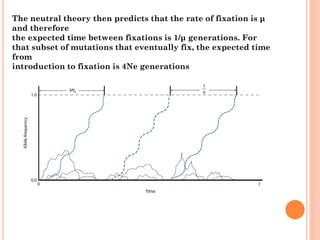 Presentation1population neutral theory | PPT