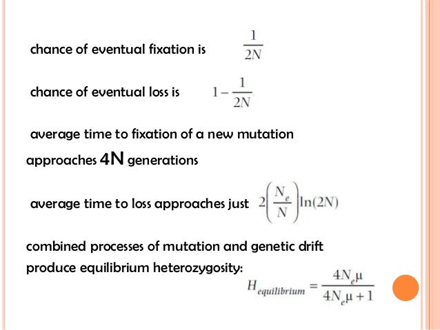 Presentation1population neutral theory
