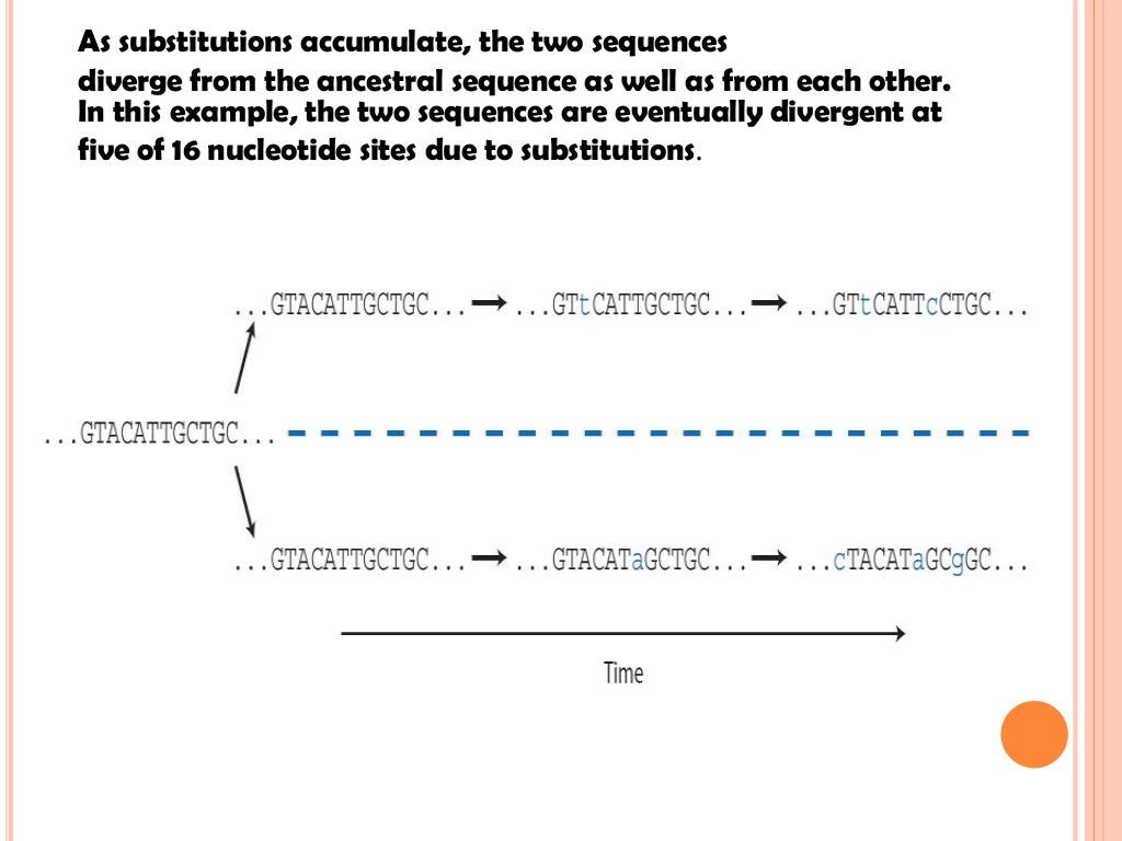 Presentation1population neutral theory