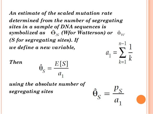 Presentation1population neutral theory