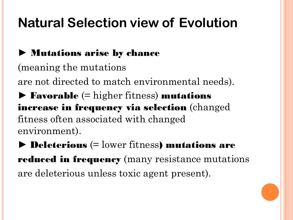 Presentation1population neutral theory