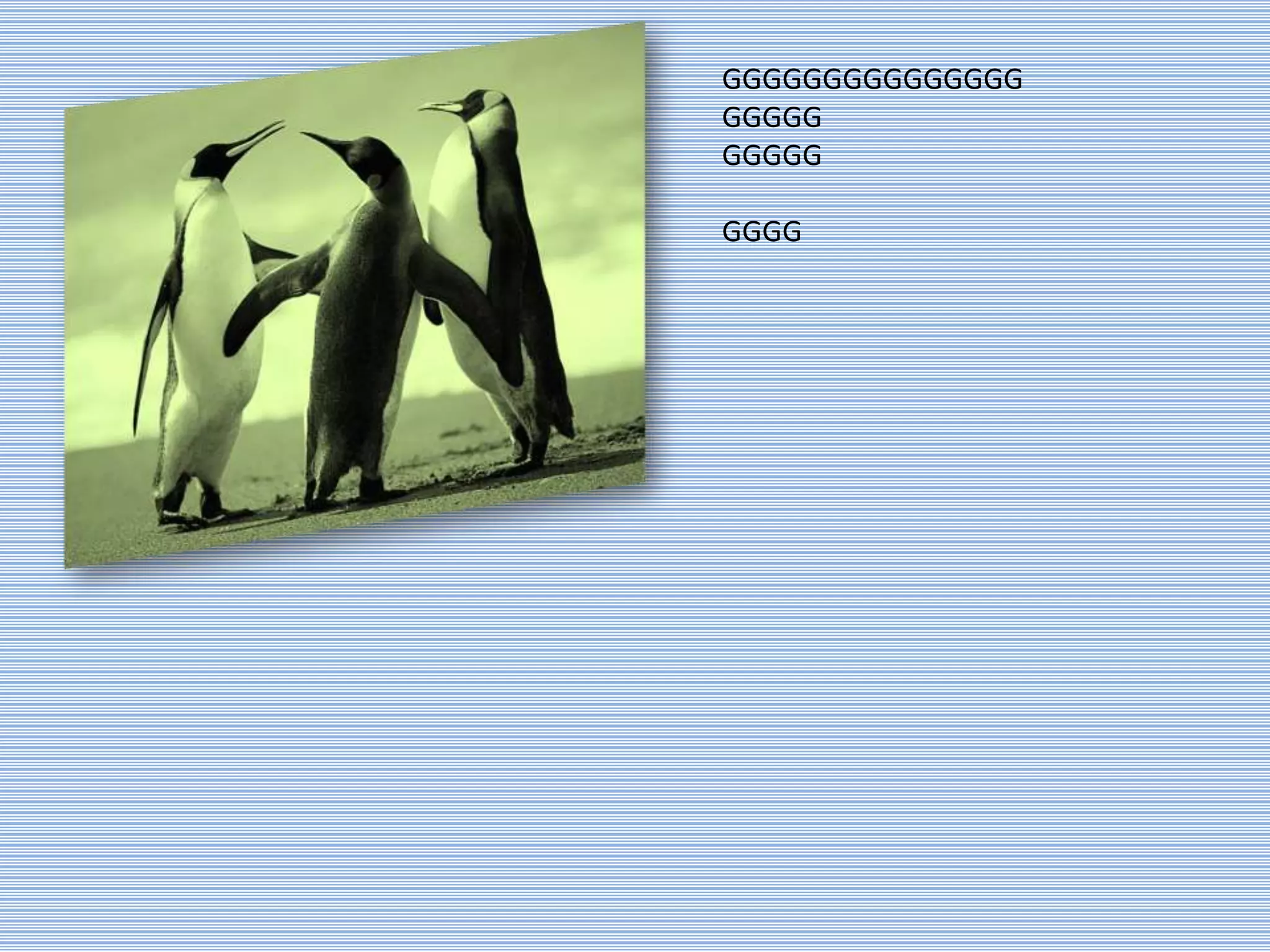 Presentation1 ppt emma | PPT Presentation1 ppt emma | PPT