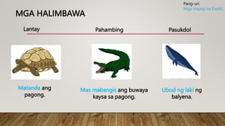 Presentation1 ppt fil 5.pptx