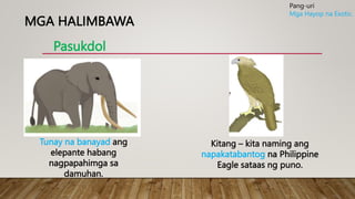 Presentation1 ppt fil 5.pptx