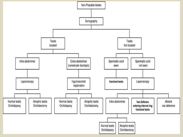 Presentation1, radiological imaging of undescended testis. | PPTX ...