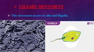 Presentation1 [Recovered].pbl .saleemphysiology.pptx