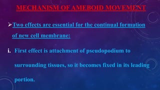 Presentation1 [Recovered].pbl .saleemphysiology.pptx
