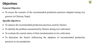Presentation1 rice conceptuadddddddddddl.pptx