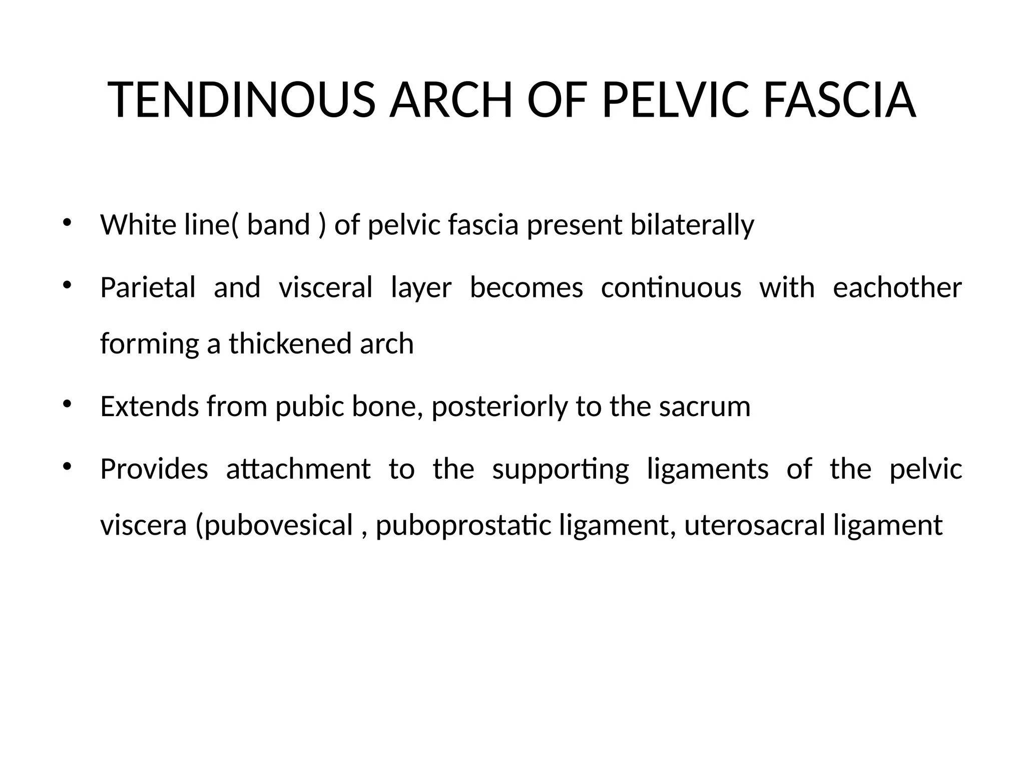 Presentation1 ruby mam.pptxxxxxxxxxxxxxxxx | PPTX