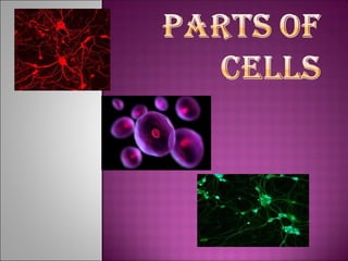 Presentation1 science | PPT | Chemistry | Science