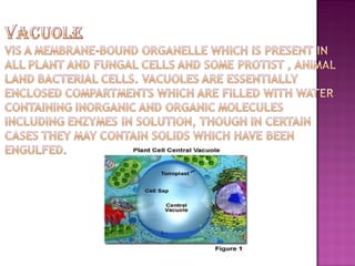 Presentation1 science | PPT