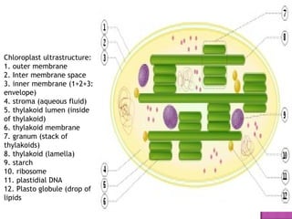Presentation1 science | PPT