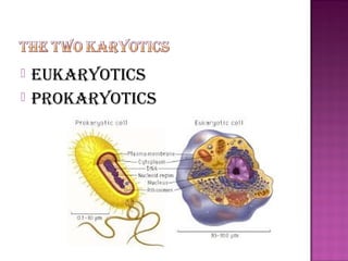 Presentation1 science | PPT