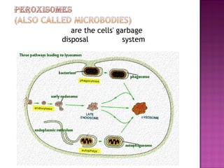 Presentation1 science | PPT