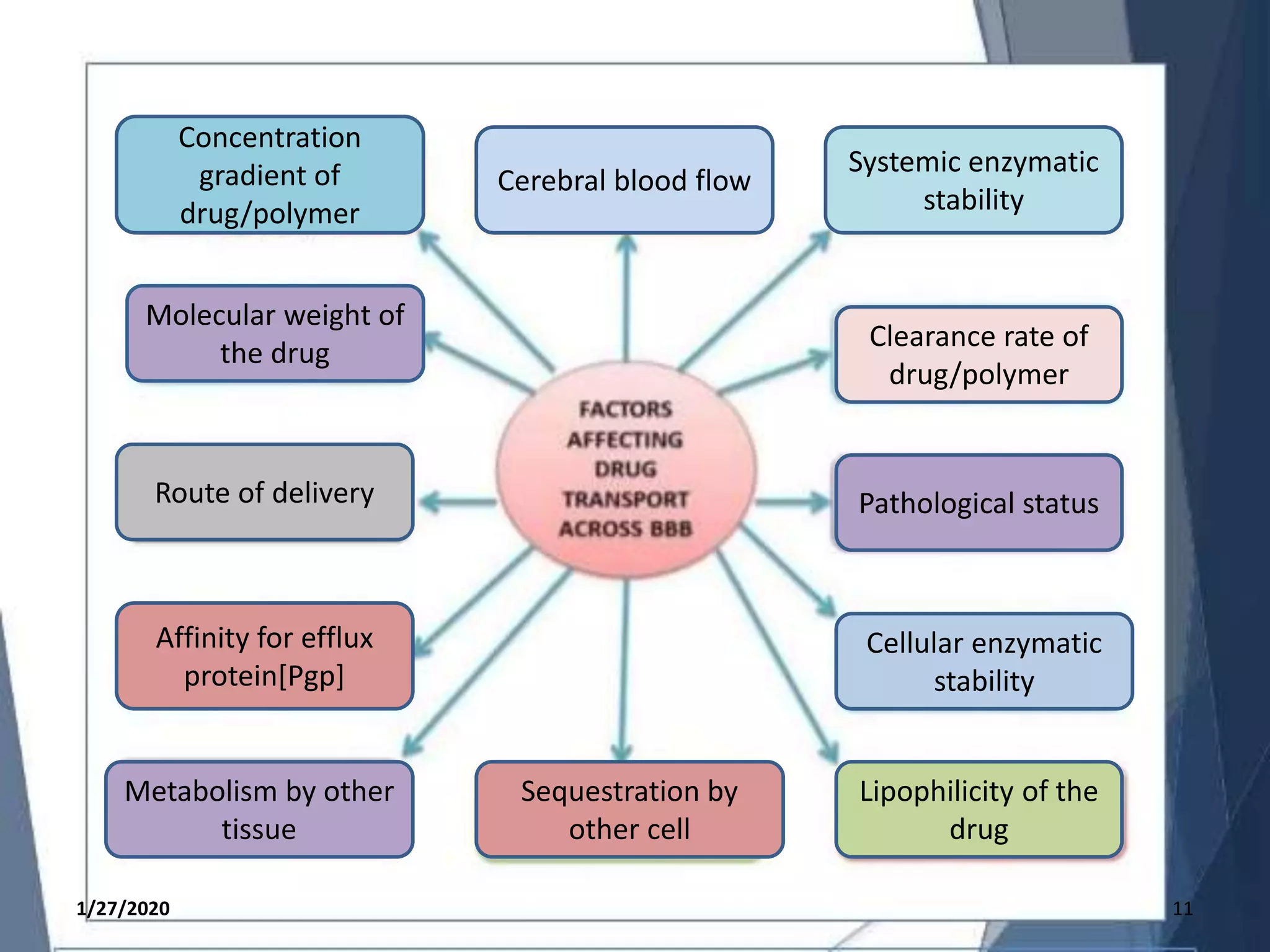 brain targeting drug delivery system | PPTX