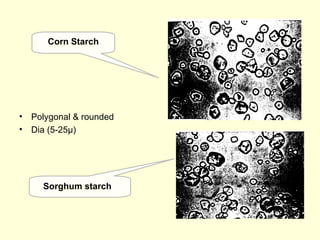 Presentation of starch for b. Tech students.ppt