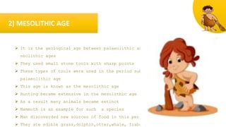 BASICS OF STONE AGE .pptx