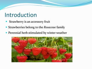 Presentation1 synopsis | PPTX | Heart and Cardiovascular Diseases ...