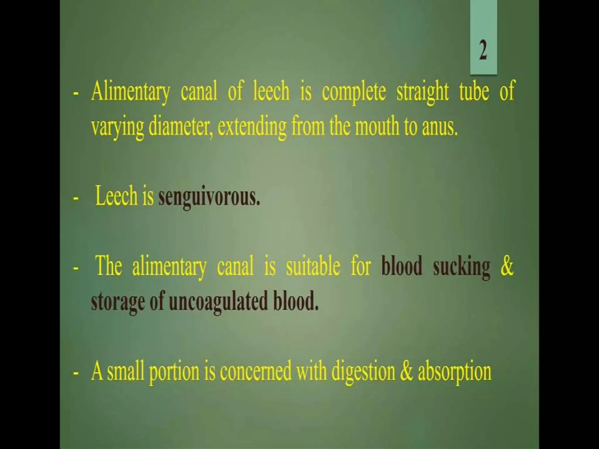 Digestive System of Leech .pptx