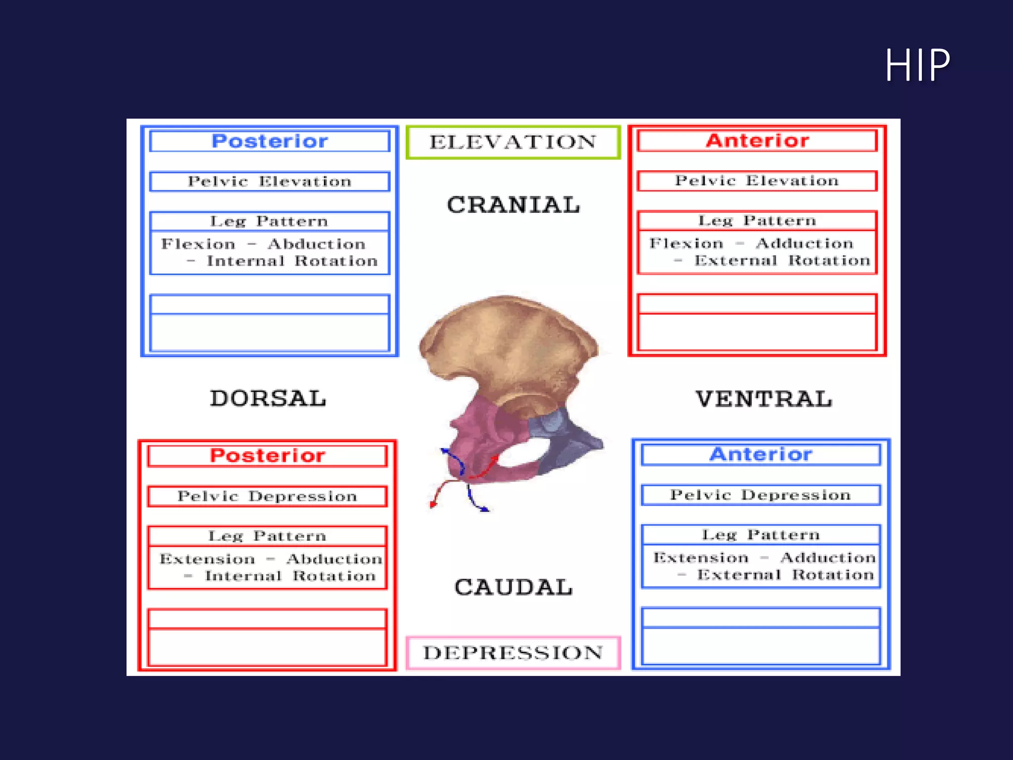 Proprioceptive neuromuscular facilitation | PPTX