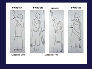 Pnf Upper Extremity Exercises