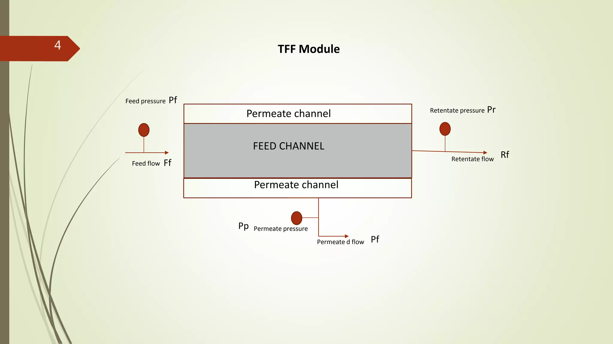 Presentation1 tff | PPTX
