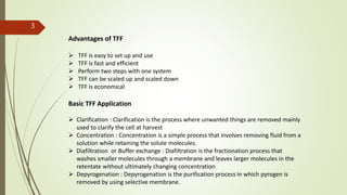 Presentation1 tff | PPTX