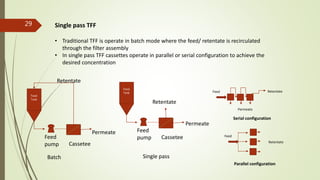 Presentation1 tff | PPT