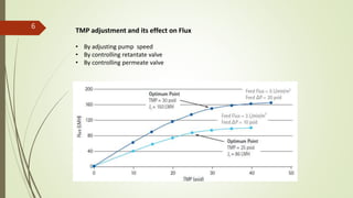 Presentation1 tff | PPT