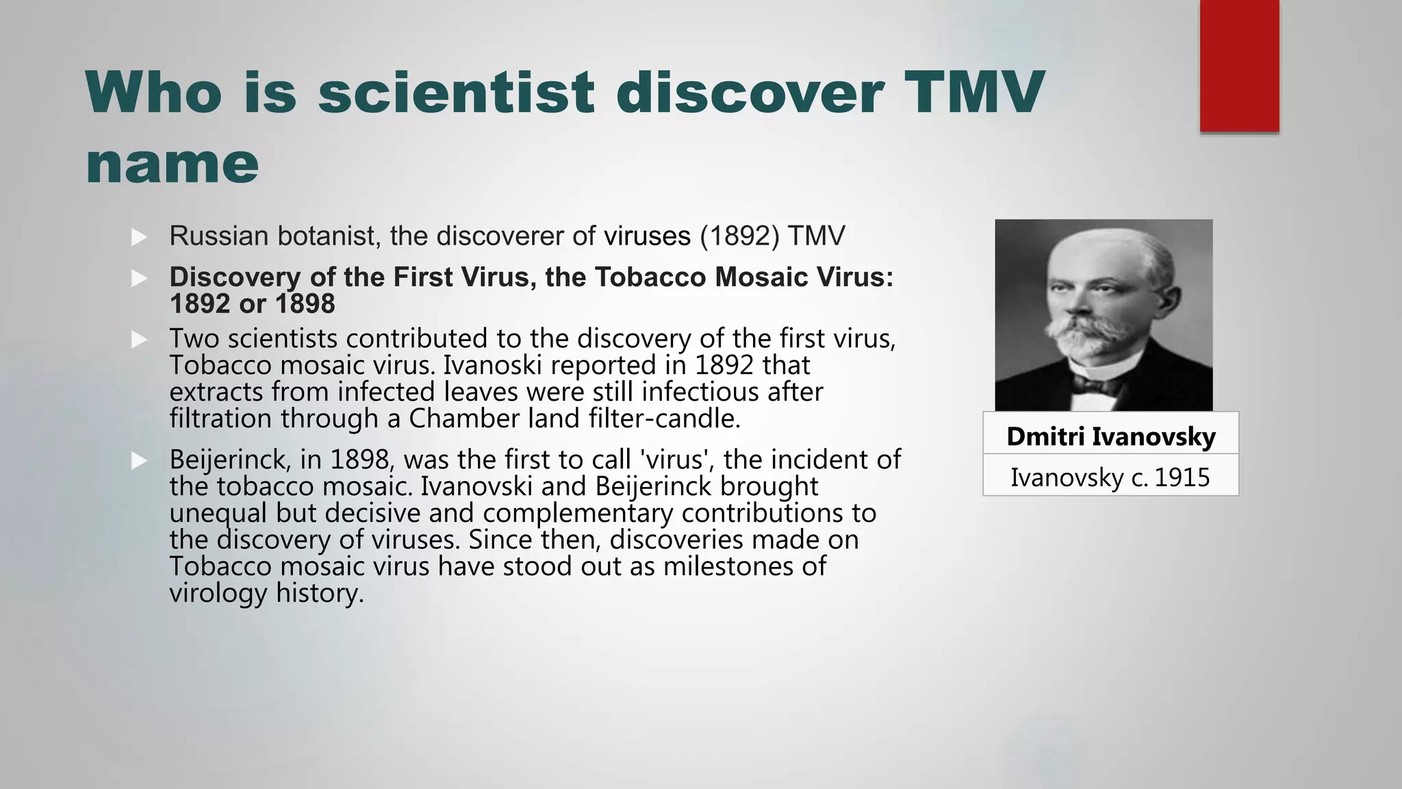 Presentation1 tobacco musaic.pptx