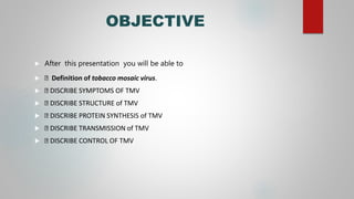 Presentation1 tobacco musaic.pptx
