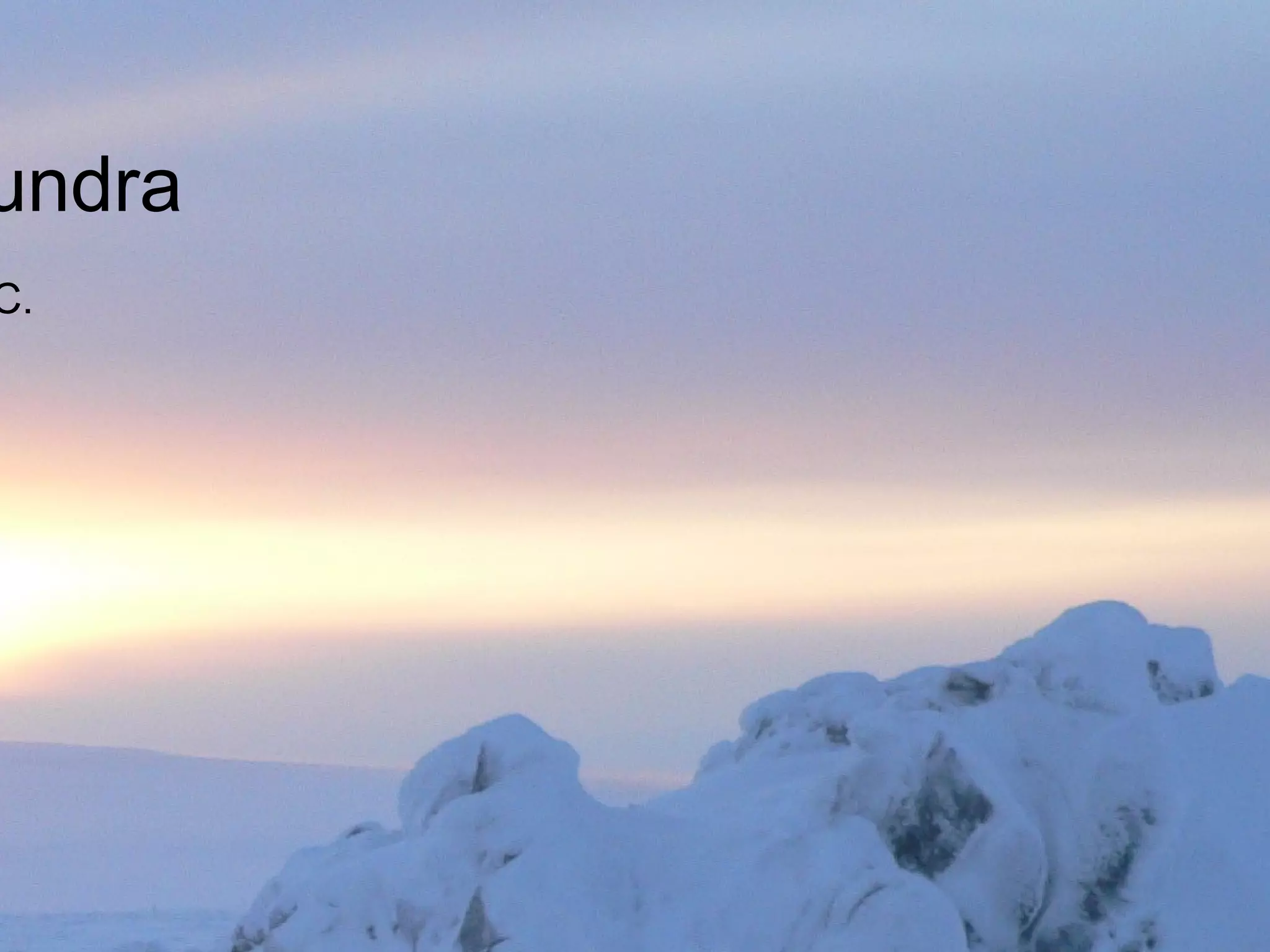 Presentation1 Tundra Ppt Campbell | PPT