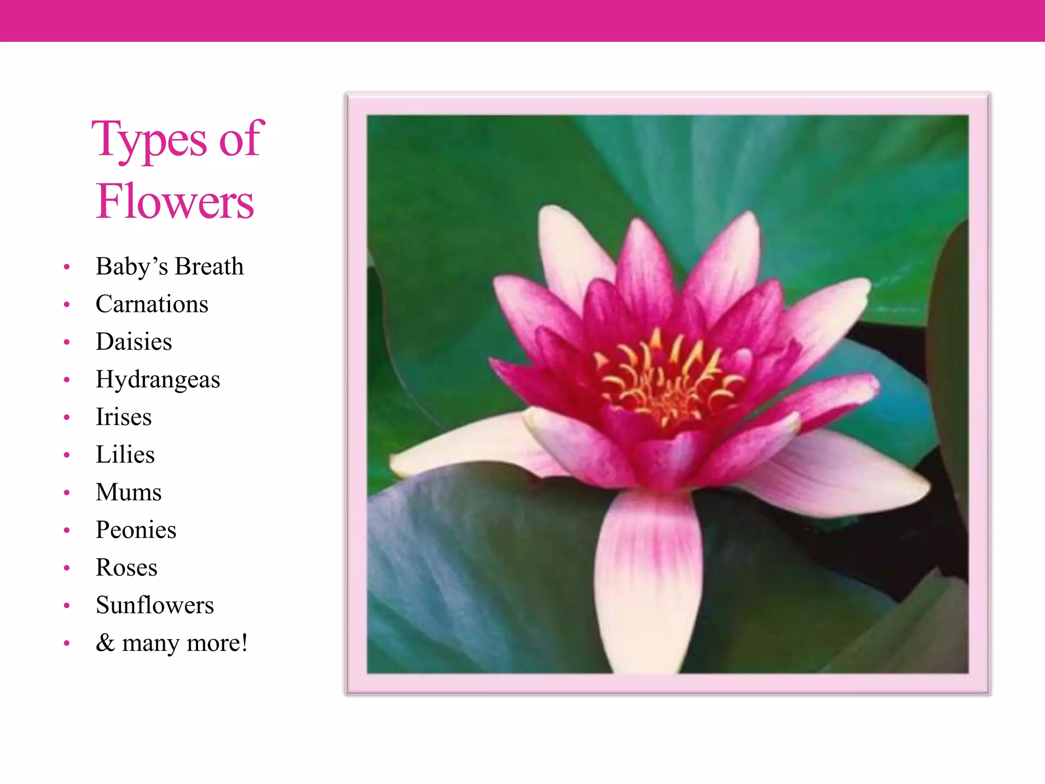 Presentation 1 update smith | PPT