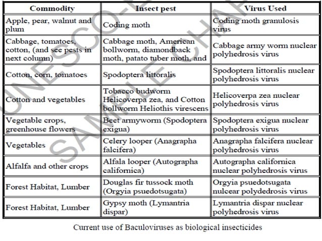 Viral Biopesticides | PPTX | Biological Sciences | Science
