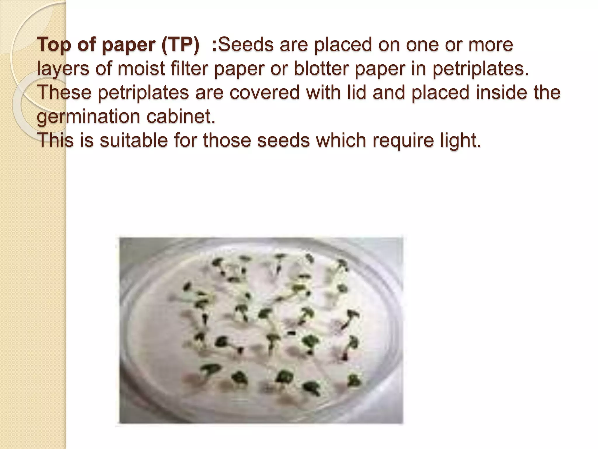Seed Testing for Germination | PPTX
