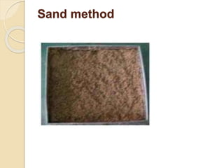 Seed Testing for Germination | PPTX