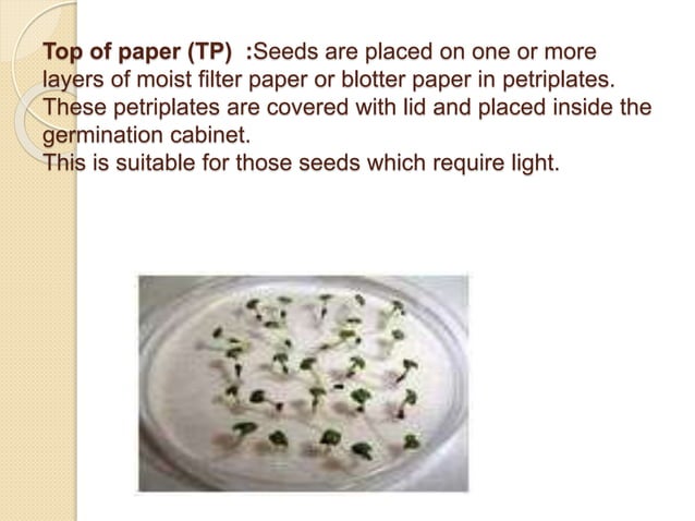 Seed Testing for Germination | PPTX