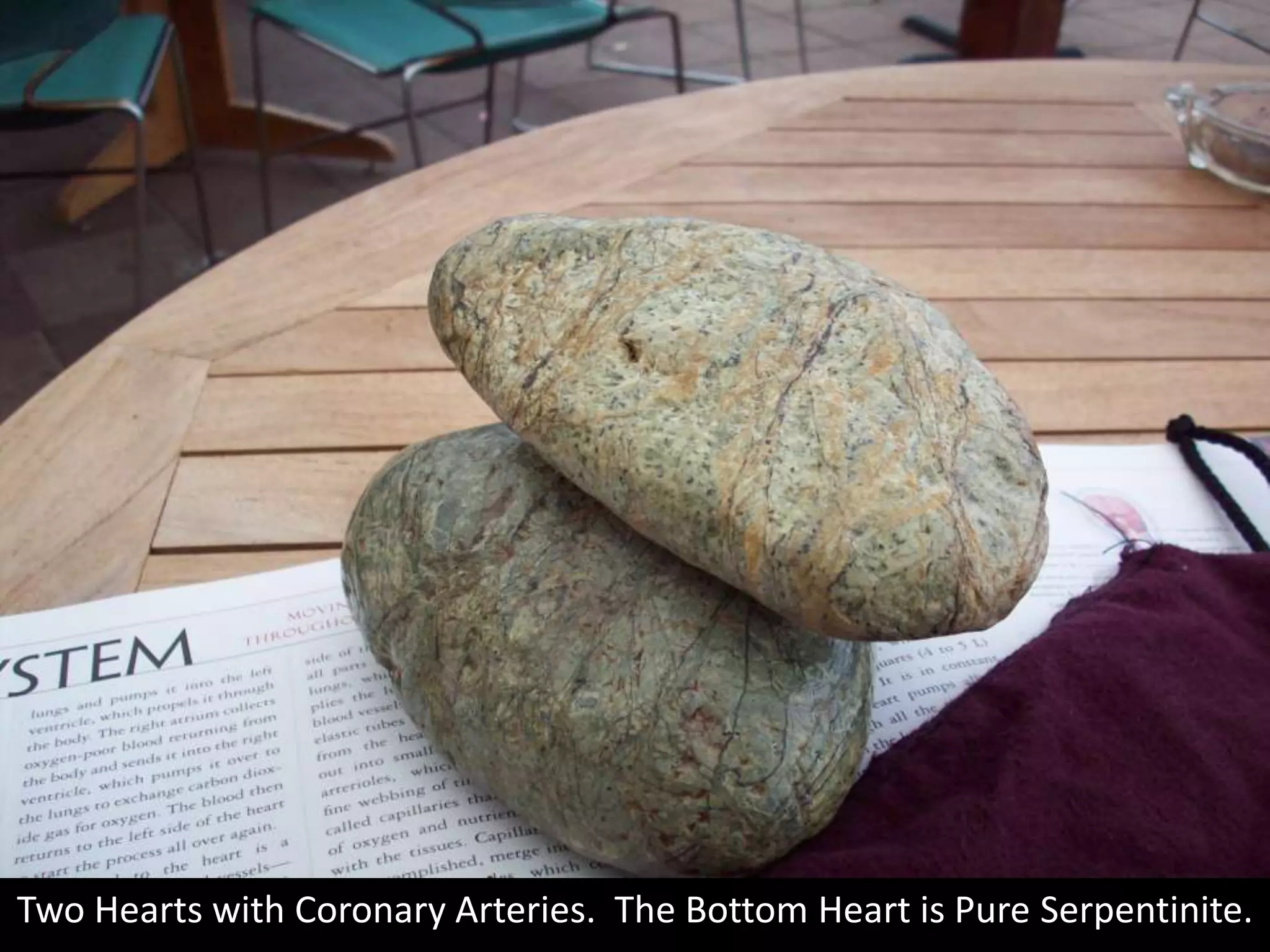 The Secret Life of Rocks | PPTX