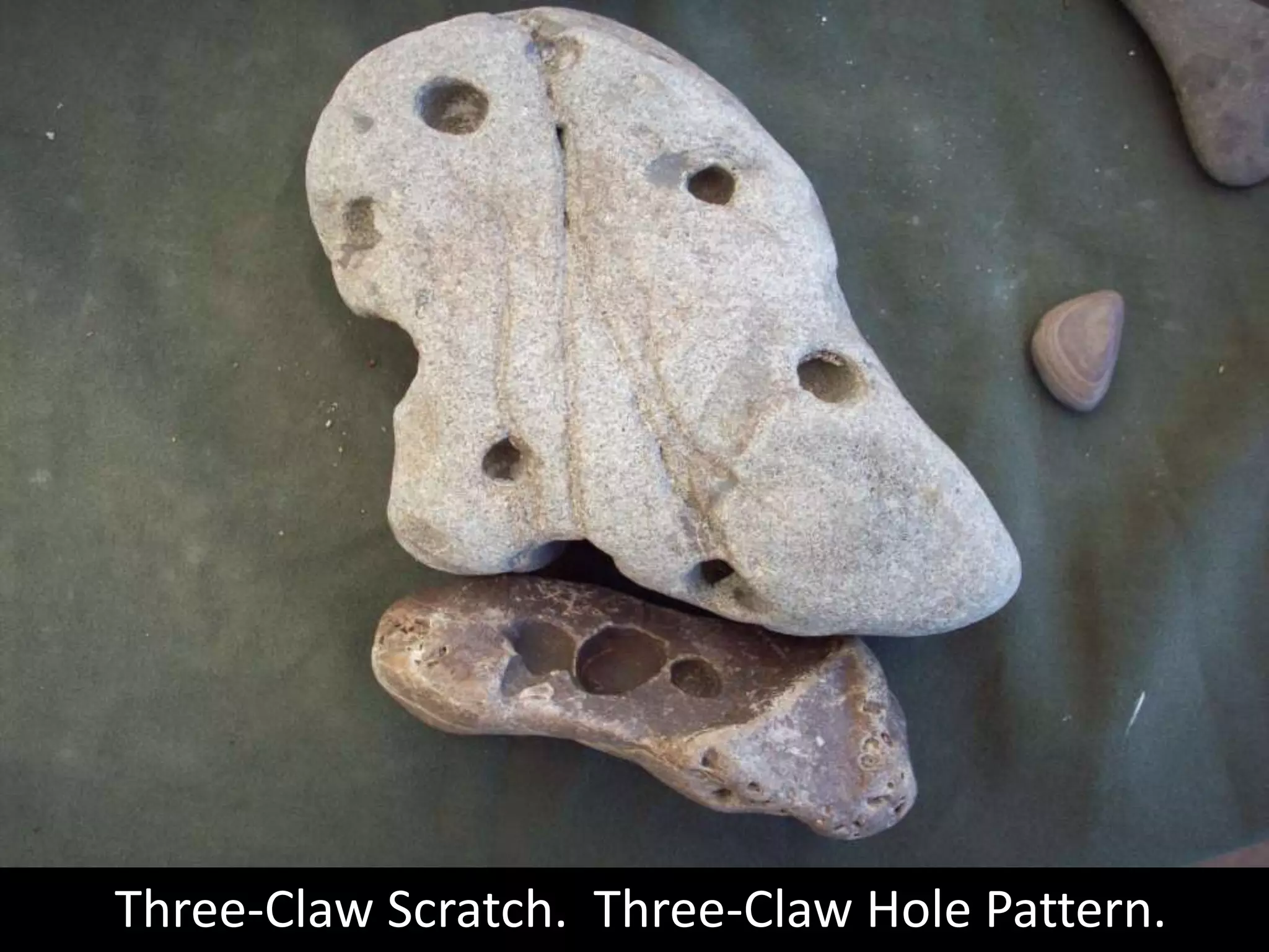 The Secret Life of Rocks | PPTX