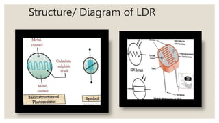 Presentation (2)-1.pptx