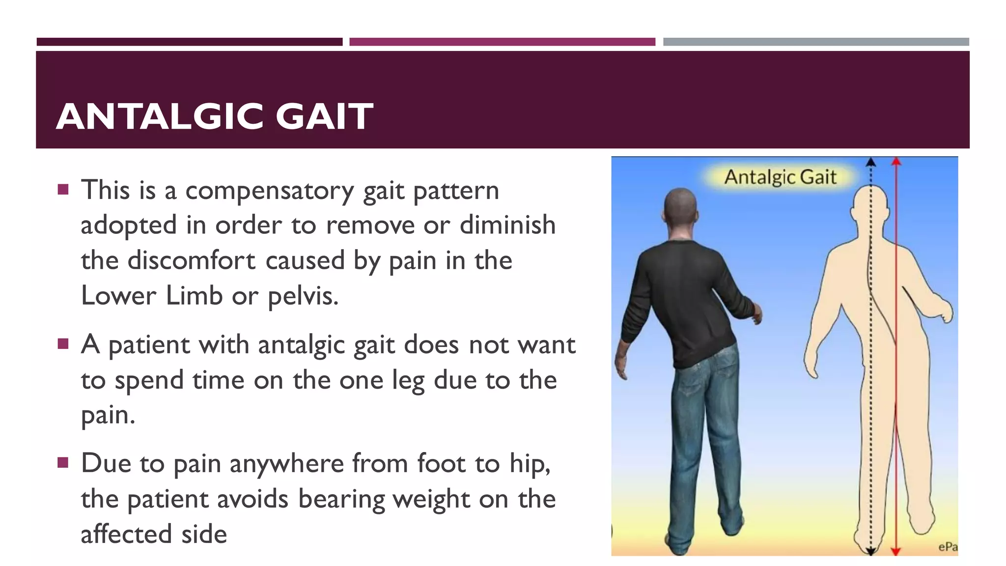 Presentation (2)-1.pdf