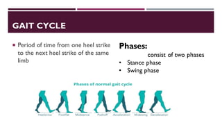 Presentation (2)-1.pdf