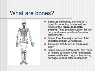a little about bones | PPT